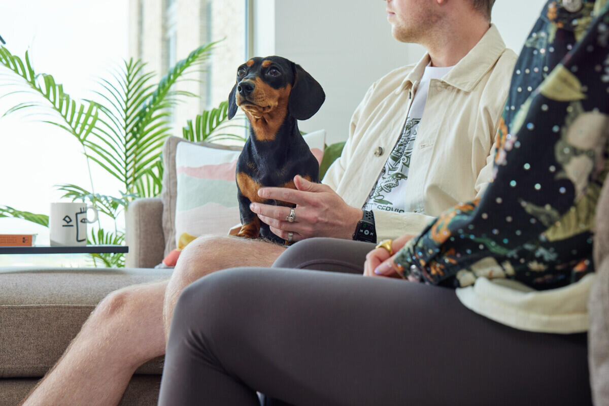 HomeViews | Eda, M50 Reviews